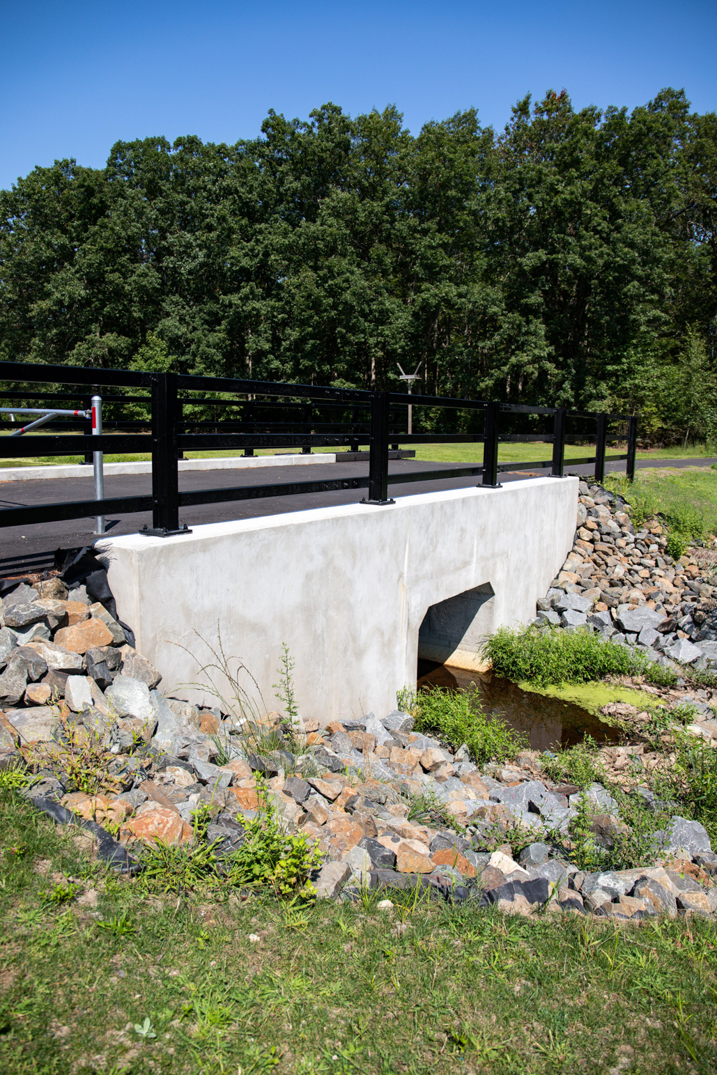 Bear Swamp Pond Dam - French & Parrello Associates